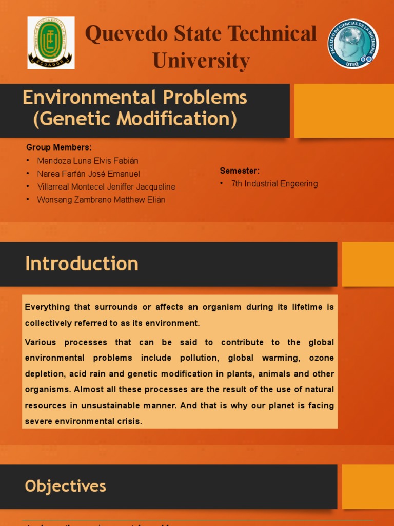 Genetic Modification and Environmental Impact | PDF | Genetically ...