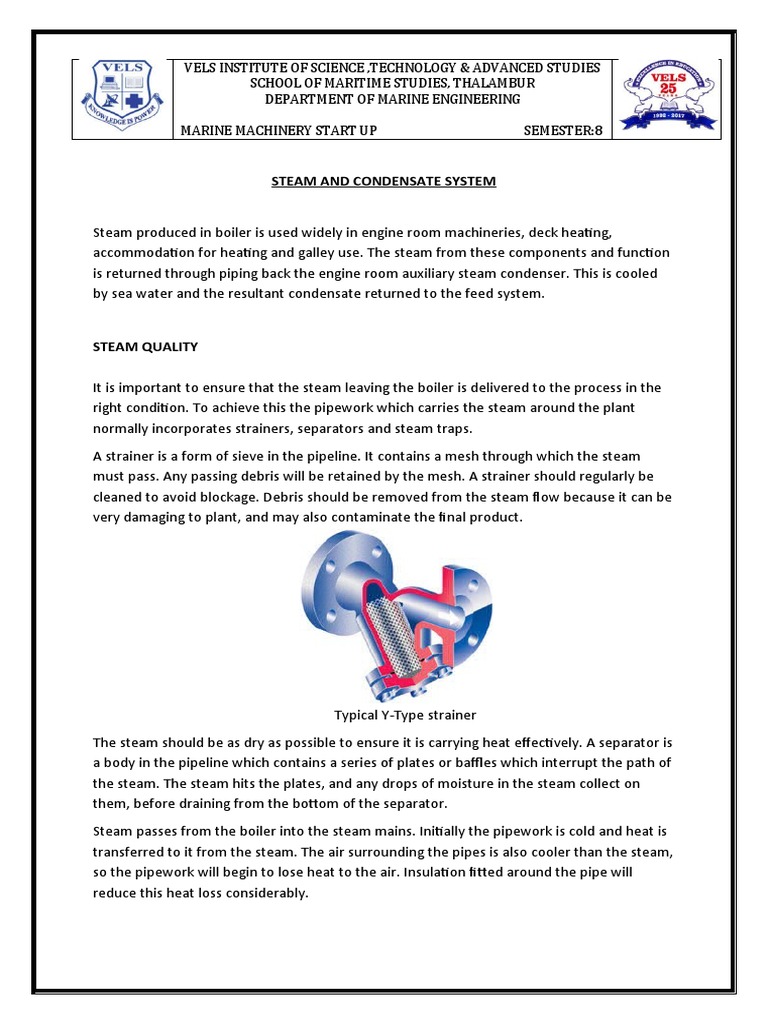 Steam and Condensate System | PDF | Boiler | Steam