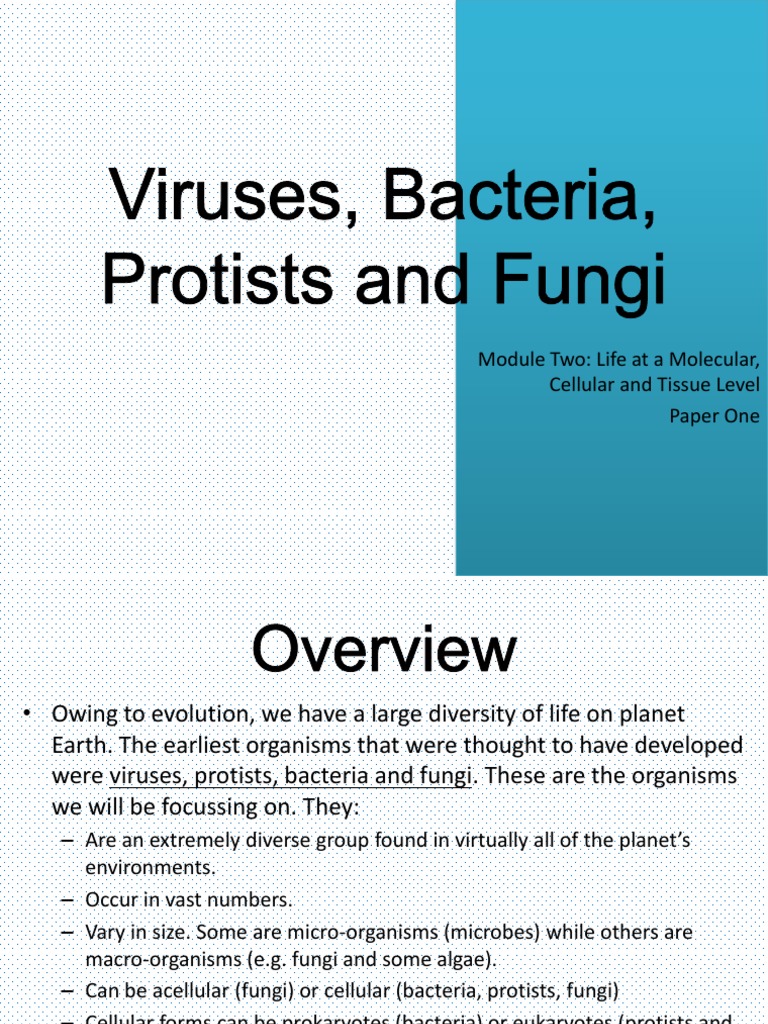 Molecular Life: Microbes and Viruses Explained | PDF | Management Of ...