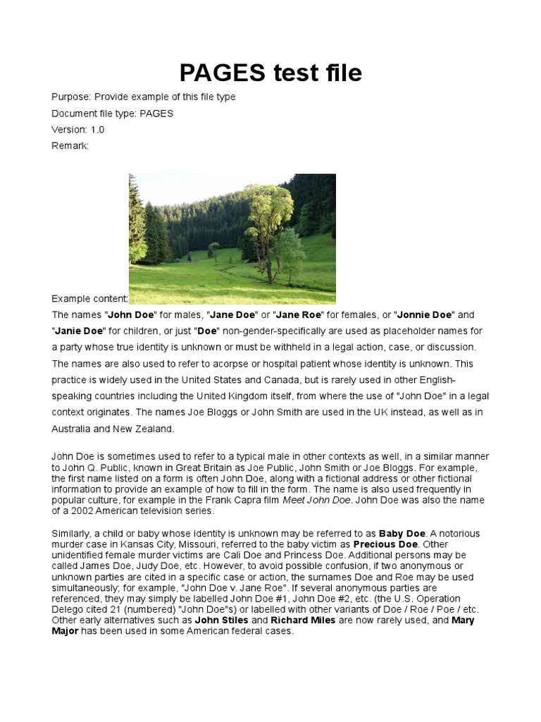 Example PDF | PDF | John Doe | Written Communication