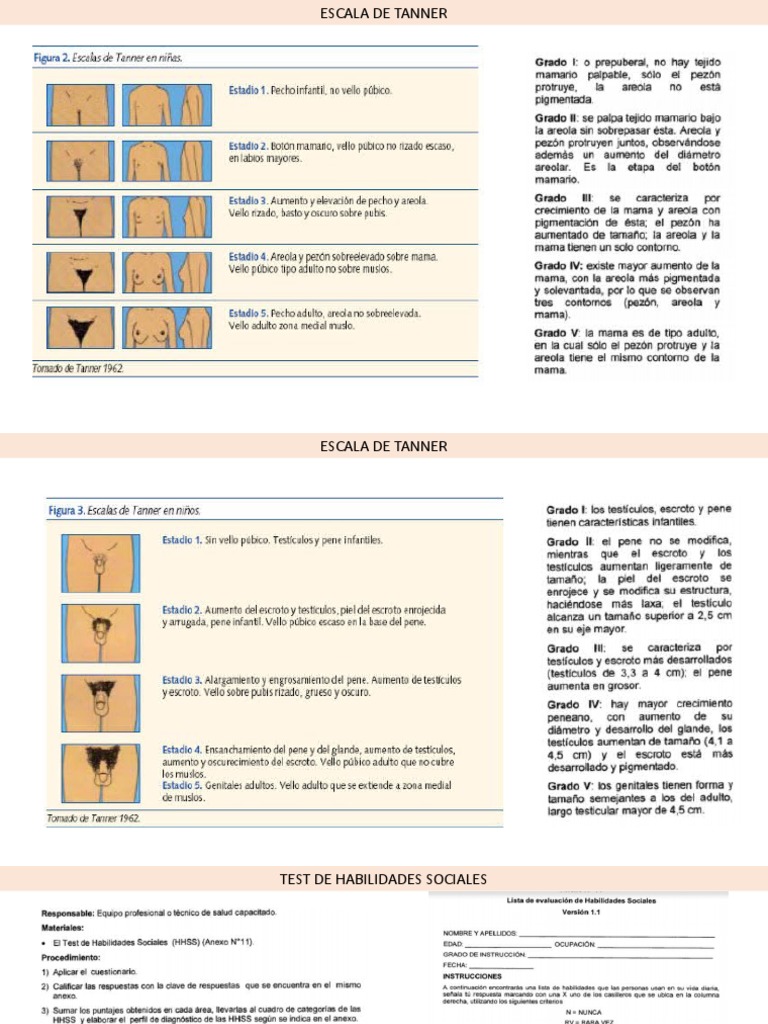 Test Adolescencia | PDF