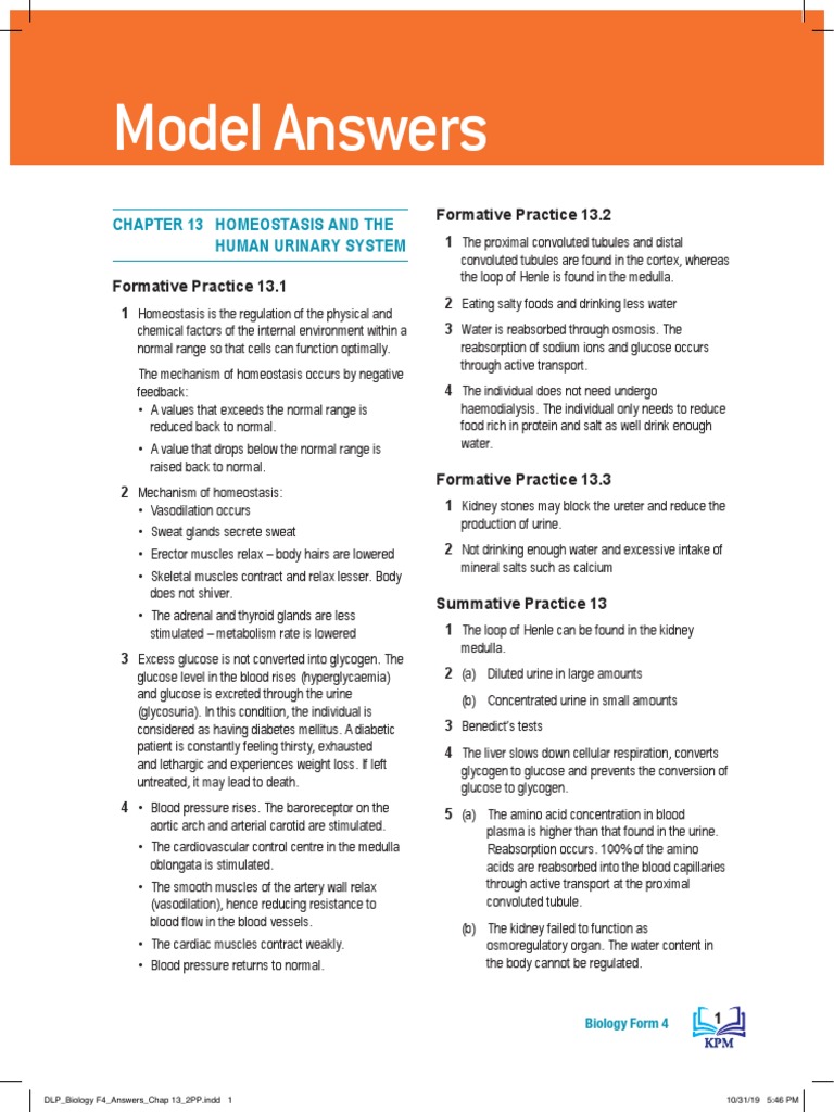 Homeostasis in the Urinary System | PDF | Homeostasis | Kidney