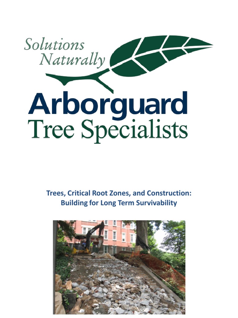 Trees Critical Root Zones and Construction PDF | PDF | Trees | Plants