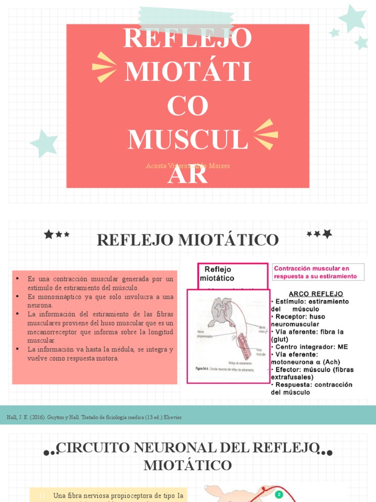 Reflejo Miotatico | PDF | Neurona | Nervio
