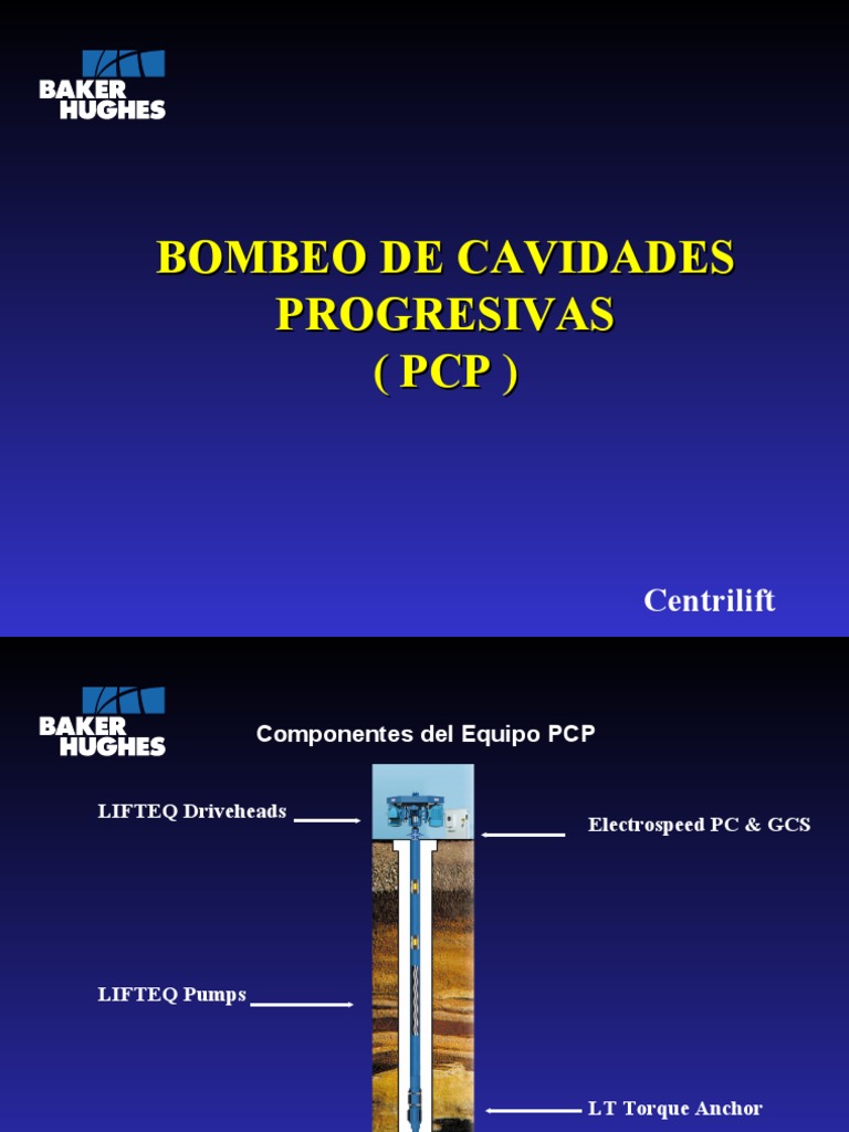 PCP y ESPCP | PDF