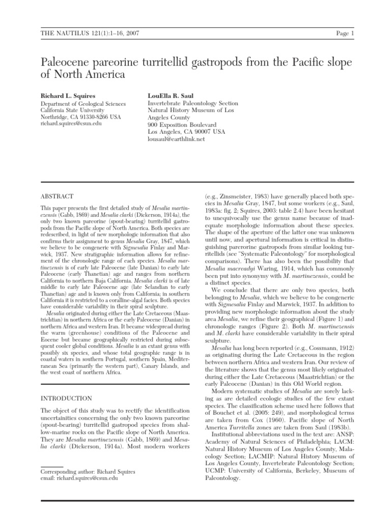 Paleocene Pareorine Turritellid Gastropods From The Pacific Slope of ...