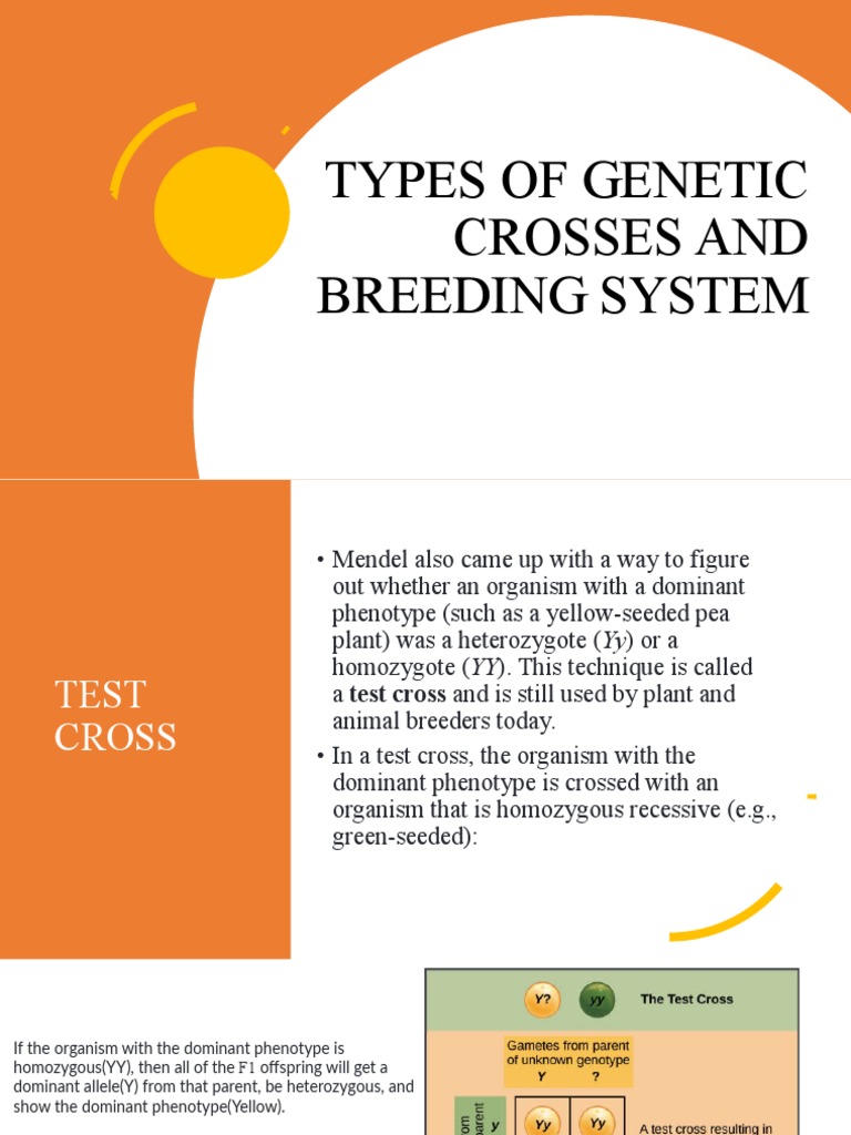 Genetic Crosses and Breeding Systems | PDF | Dominance (Genetics ...