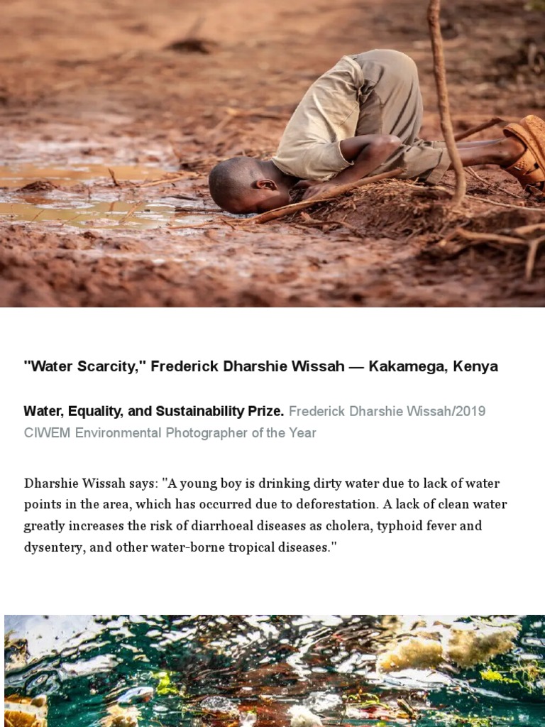 Lesson 203 - Opinion-Marking Signals | PDF | Social Science