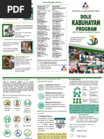 Regional Directory: Albay 1st District Engineering Office | PDF ...