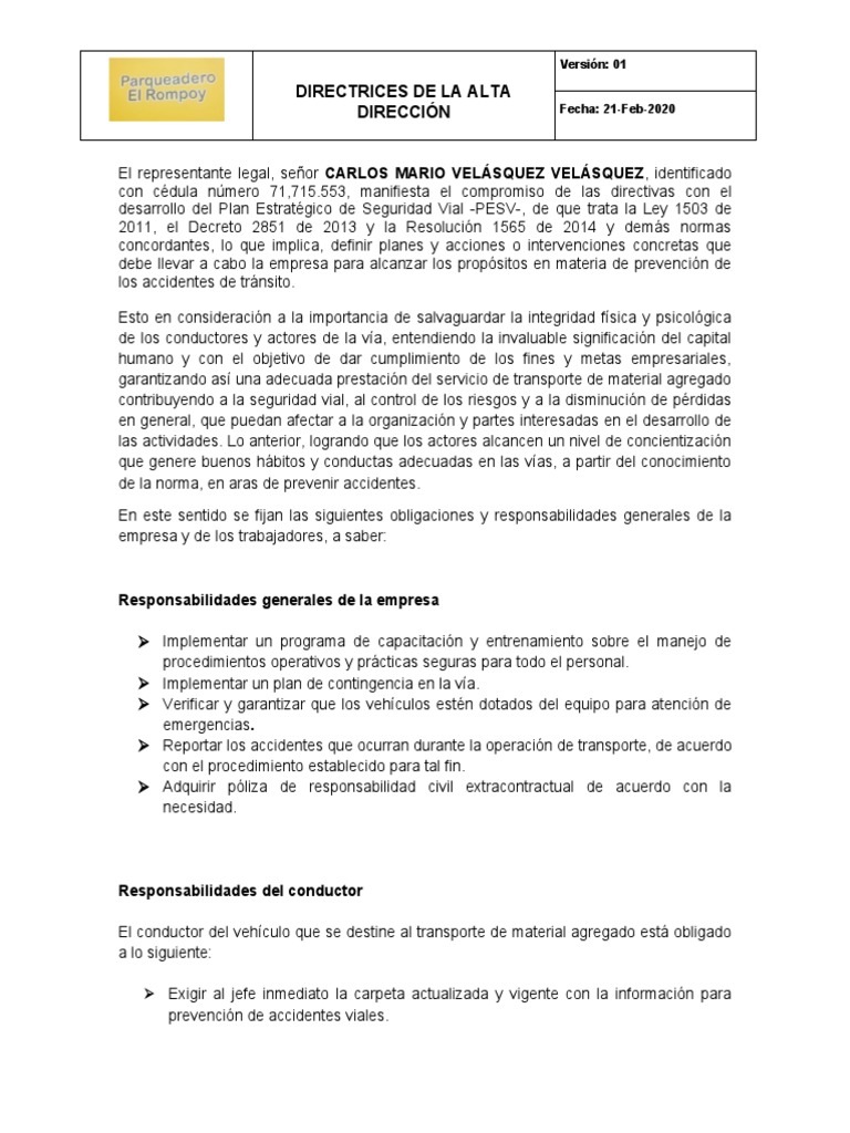 Directrices de La Alta Dirección | PDF | Seguridad vial | Póliza de seguros