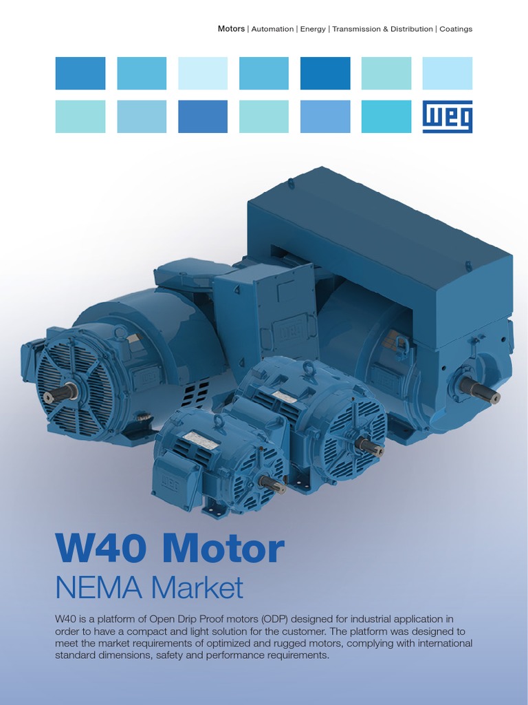 W40 High-Speed Motor Overview | PDF | Electric Motor | Insulator ...