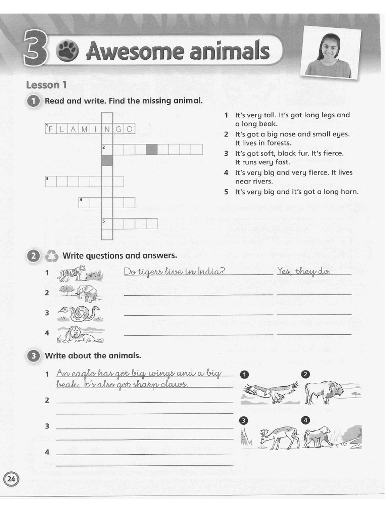 Tiger 5 Unit 3 Ab PDF | PDF