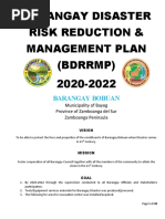 BDRRM Plan Word Template | PDF