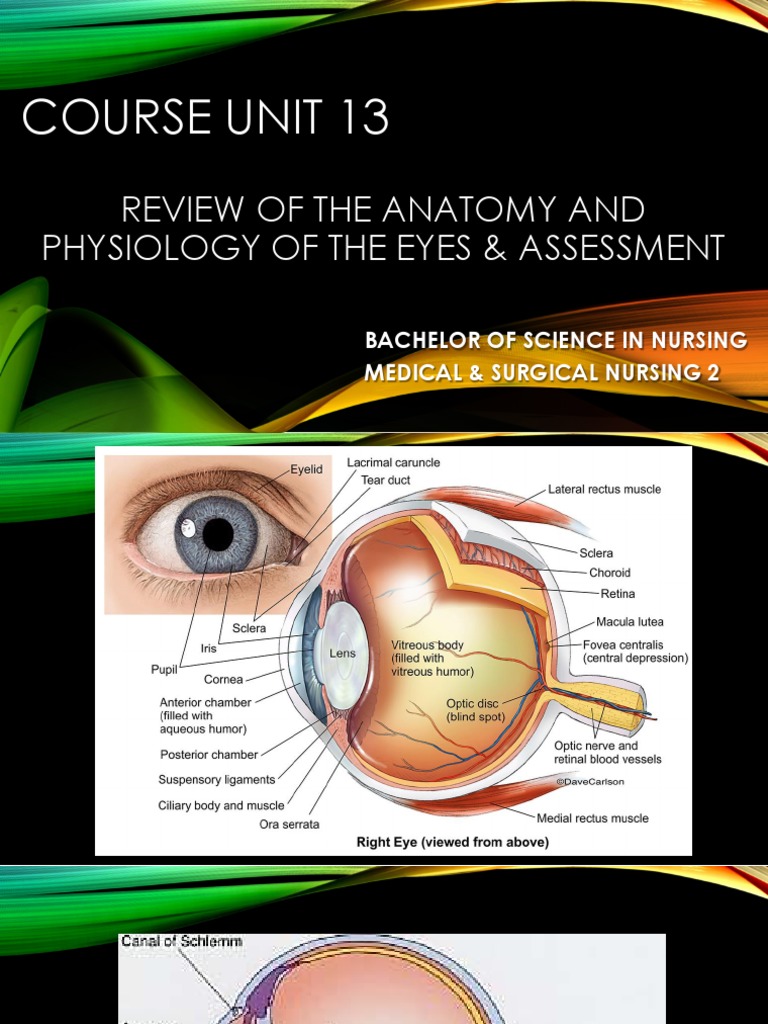 MS2 PPT Course Unit 13 - Review of The Anatomy and Physiology of The Eyes & Assessment | PDF