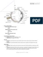 Human Eye Anatomy and Functions | PDF | Human Eye | Lens (Optics)