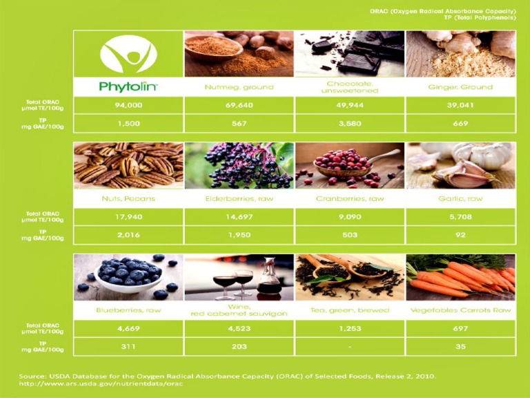 Phytolin Antioksidan Tinggi | PDF
