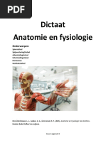 Anatomie Van Het Paard | PDF