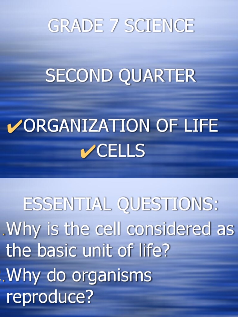 LESSON 1 Levels of Organization | PDF | Organ (Anatomy) | Organisms