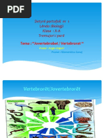 Kafshet Shtepiake | PDF