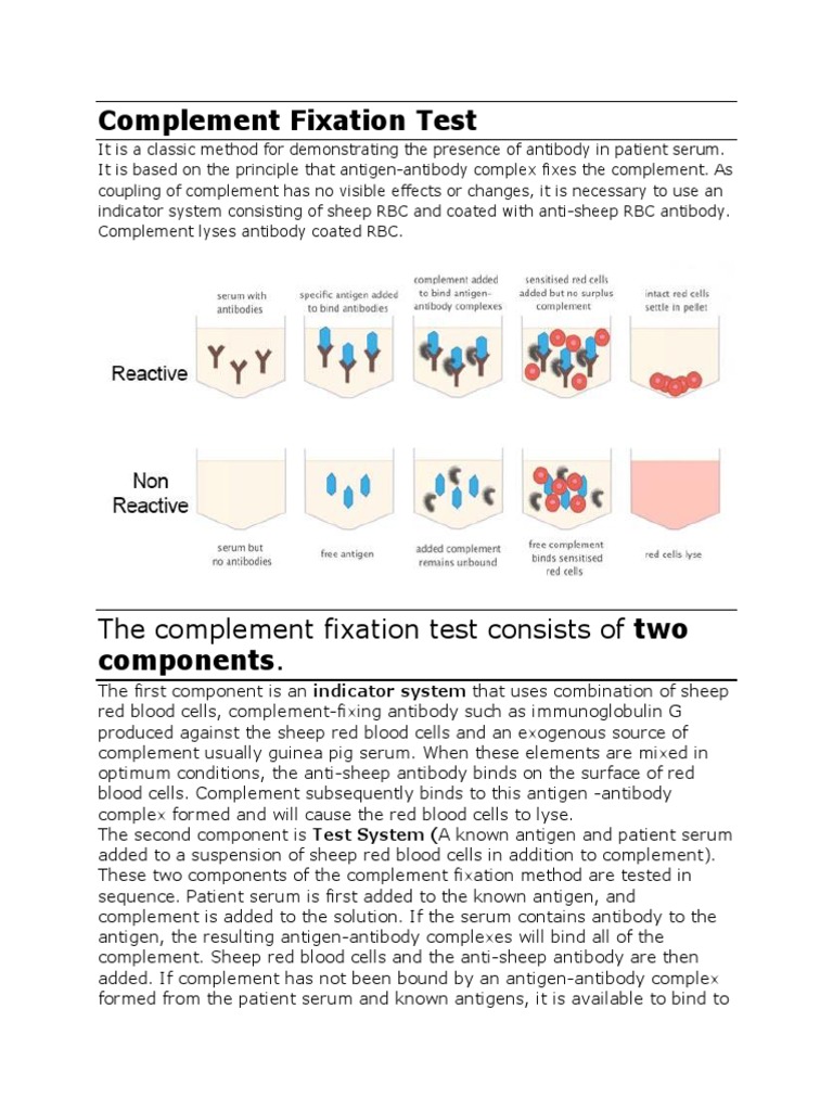 Complement Fixation Test Overview | PDF | Complement System | Antibody