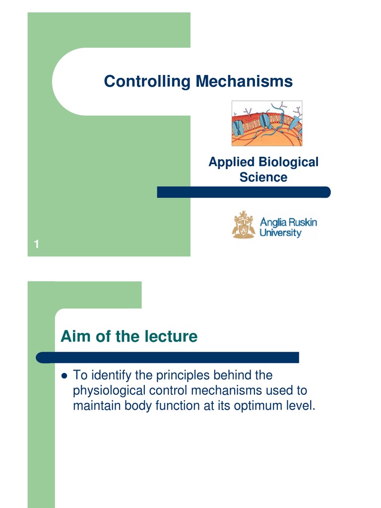 homeostatic mechanism | Homeostasis | Stimulus (Physiology)