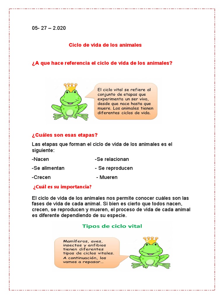 Ciclo de Vida de Los Animales. Clase 05 - 27 | PDF