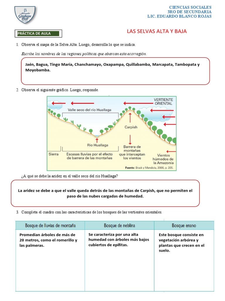 Práctica de Aula - Selva Alta y Baja | PDF | Naturaleza