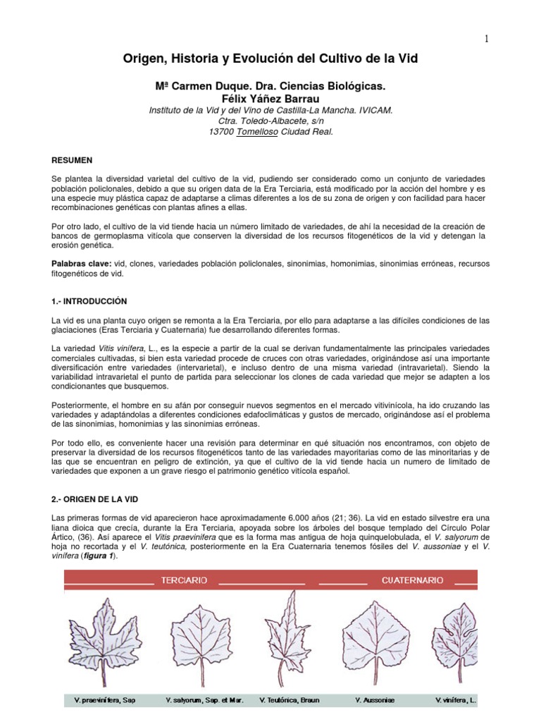 Origen, Historia y Evolución Del Cultivo de La Vid | PDF | Vino | Vitis