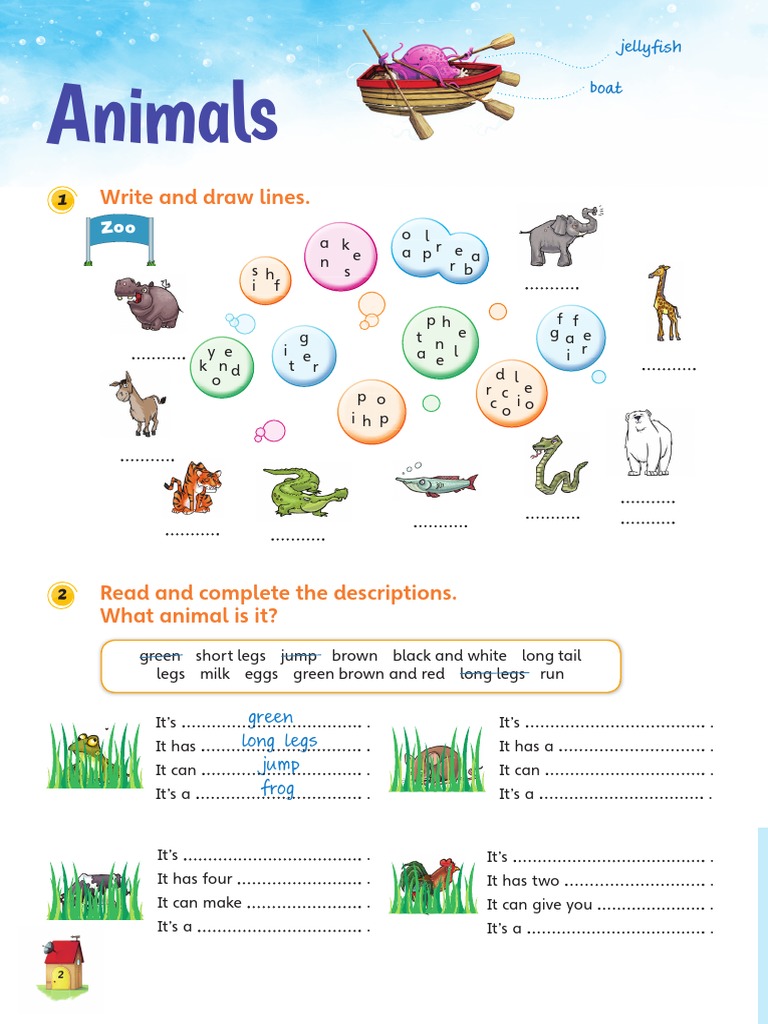 Fun For Starters Home Fun Booklet PDF | PDF | Nature