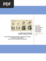 Clasificacion de Quirogramas - Quiros | PDF | Mano | Huella dactilar