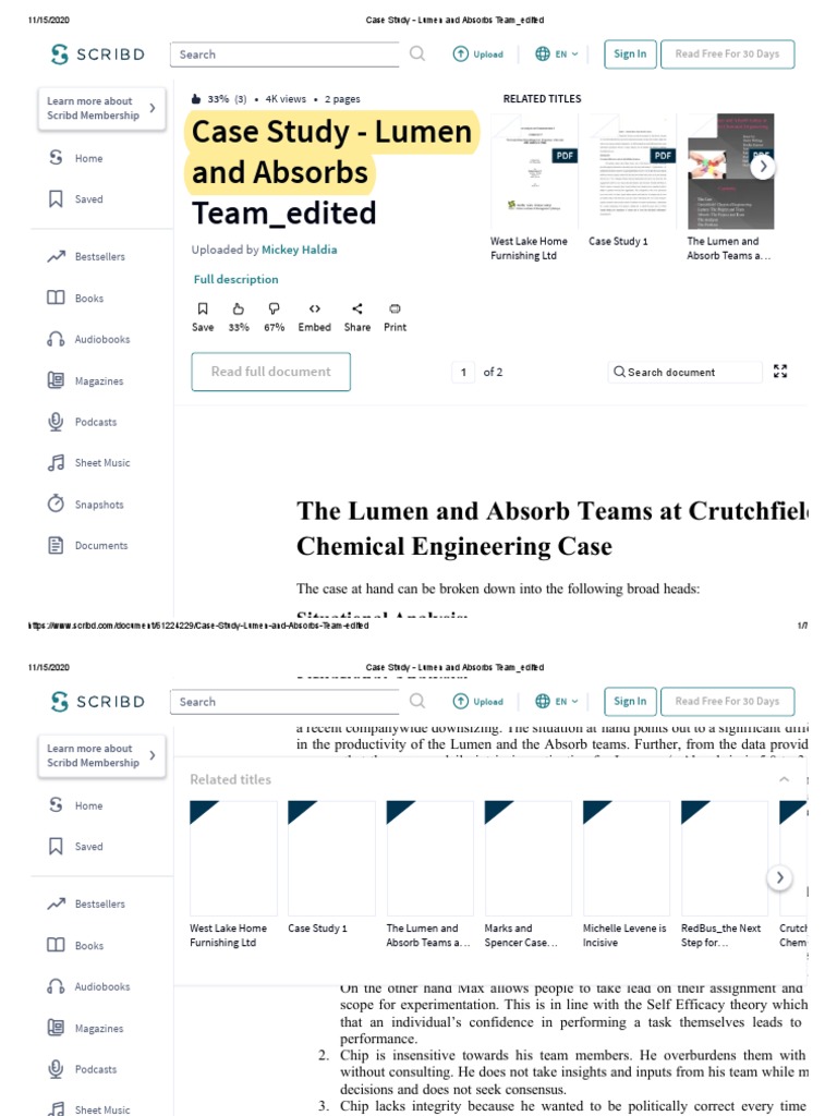 Case Study - Lumen and Absorbs Team - Edited | PDF | Scribd | Business