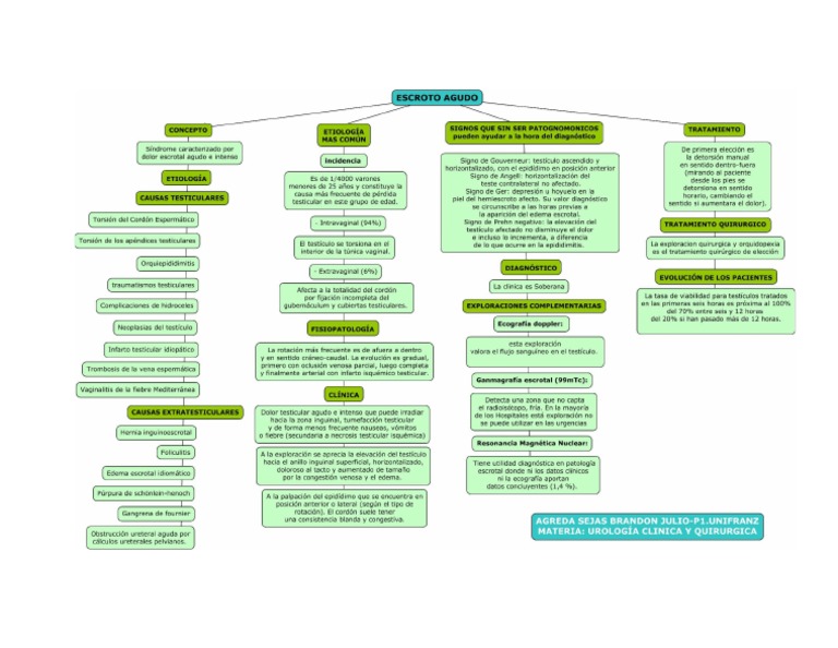 Escroto Agudo-Mapa Conceptual-Urología-P1-Unifranz | PDF