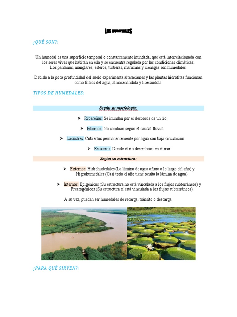 Tipos y Beneficios de los Humedales | PDF | Humedal | Agua