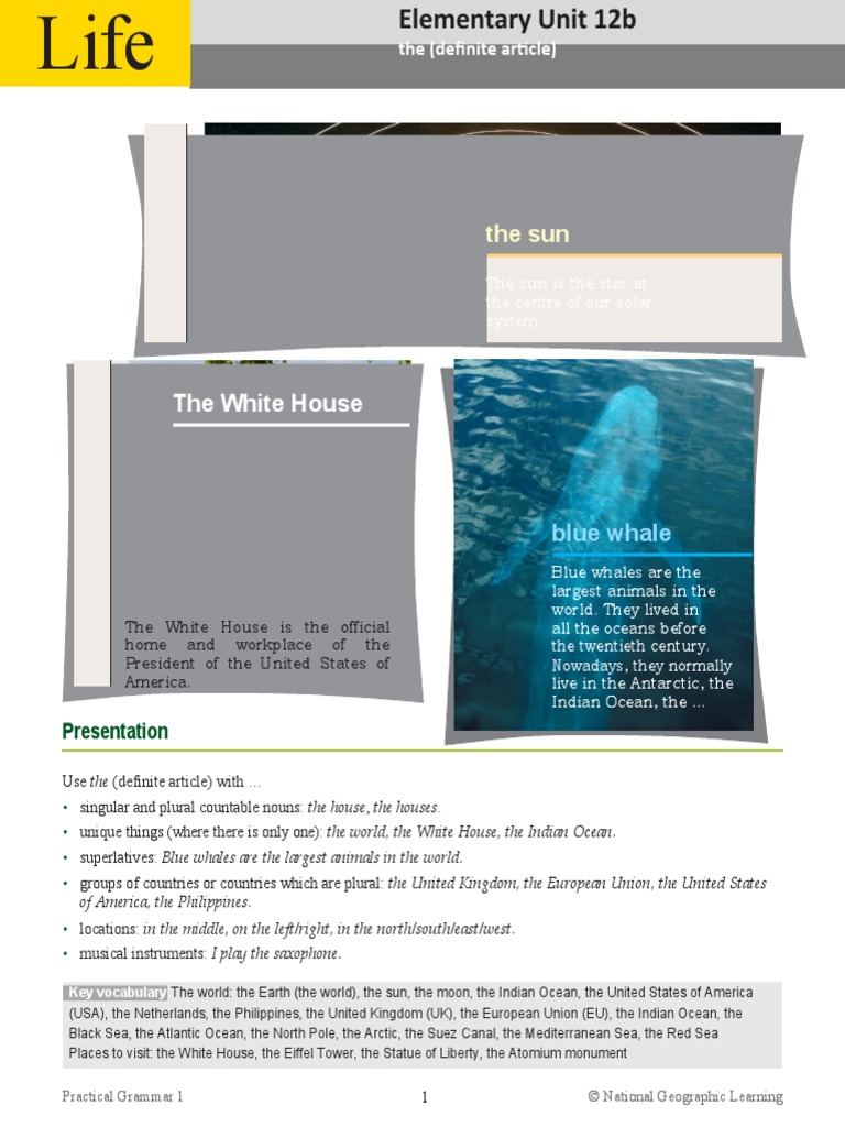 Elementary Unit 12b | PDF | Linguistics | Syntax