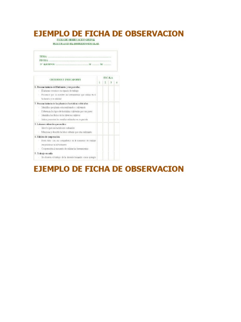 Ejemplo de Ficha de Observacion | PDF
