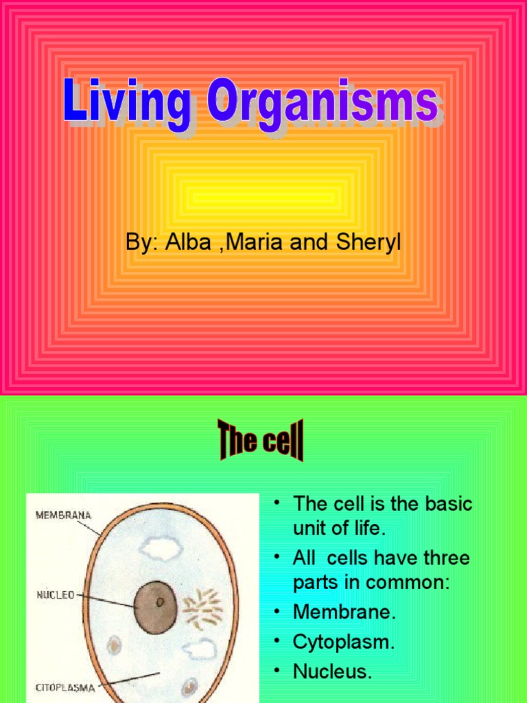 Understanding Cell Types and Kingdoms | PDF