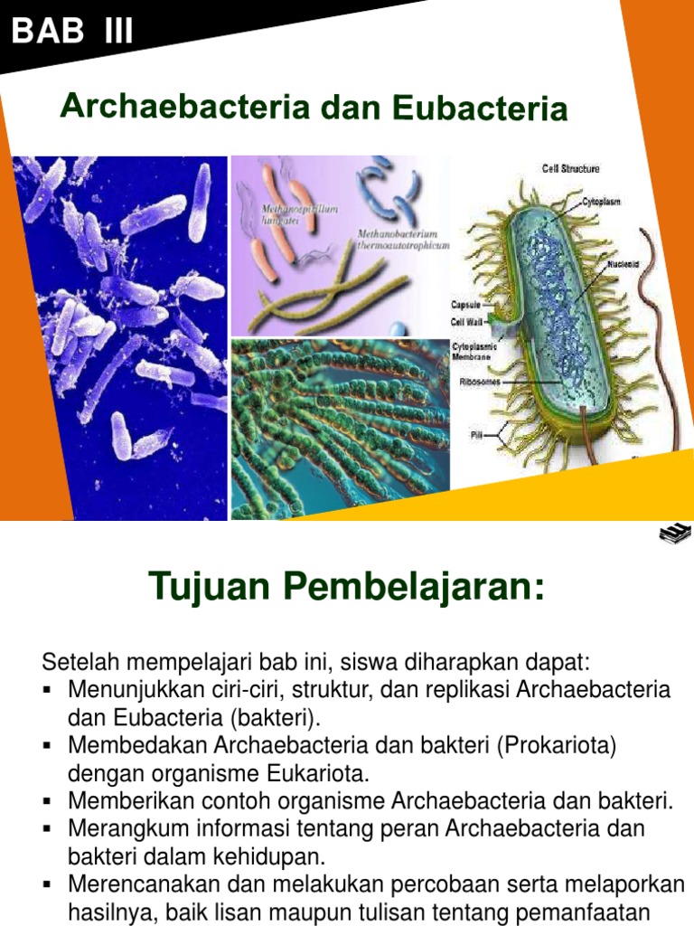 BAB 4 Archaebacteria Dan Eubacteria | PDF