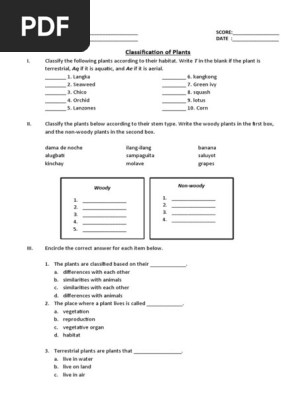 Classification Of Plants For Kids Worksheets