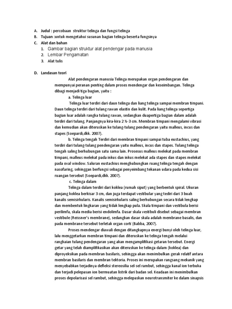 Struktur Dan Fungsi Telinga | PDF | Seni & Disiplin Bahasa | Kajian Bahasa Asing