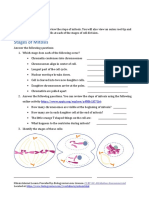 Meiosis-Webquest Answer Key | PDF | Meiosis | Chromosome