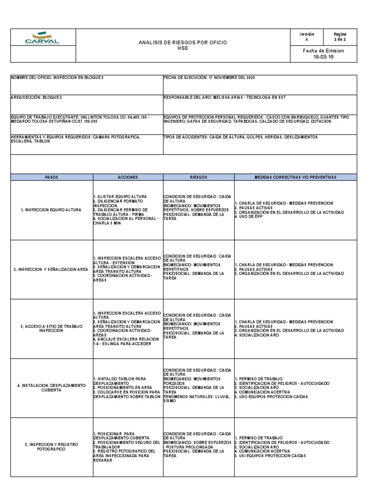 Formato Aro Carval - Inspeccion Area Bloque 2 - Macreun Sas | PDF | Business