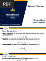 Mapa Conceptual Tipos de Matrices. Parra García Andrés Manuel PDF | PDF