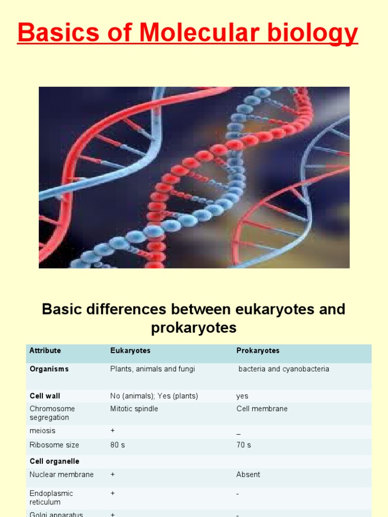 Molecular Biology Essentials | PDF