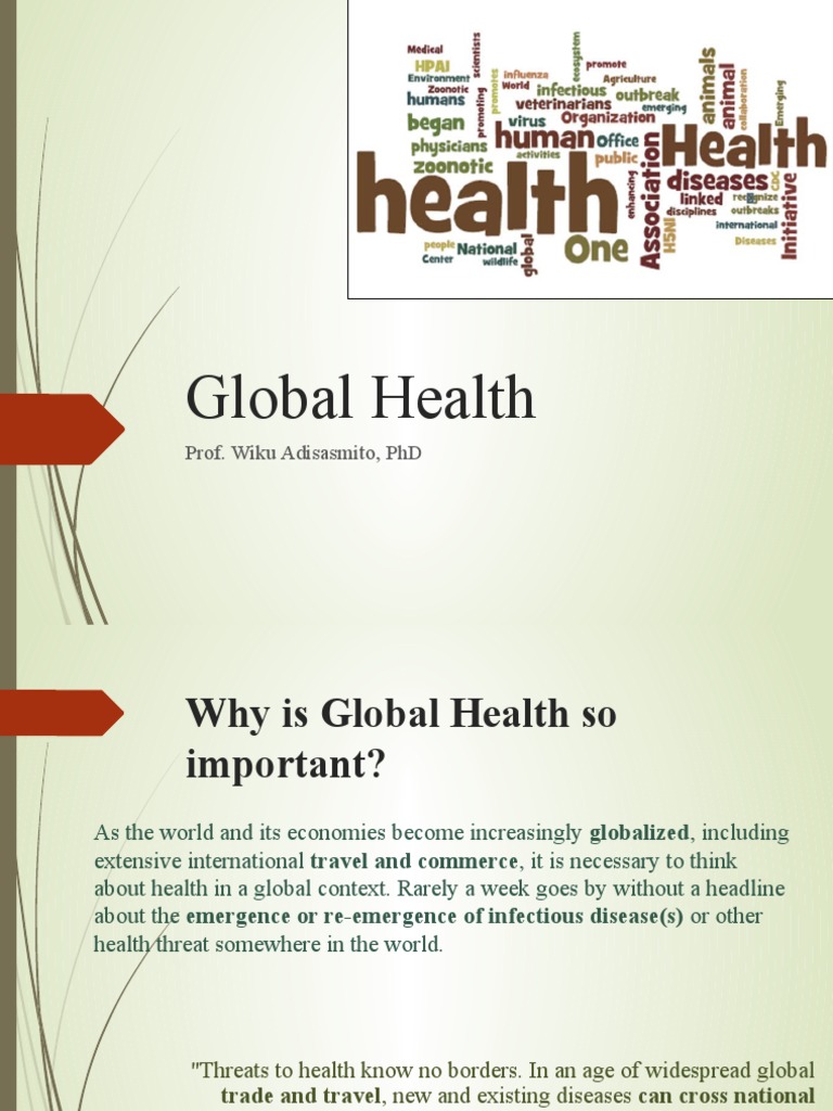 SESI 1 Prof Wiku - Global Health | PDF | Infection | Pathogen