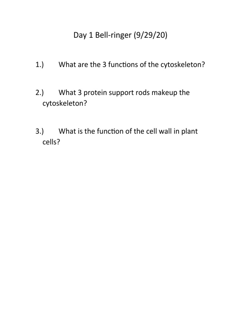 Day 1 Bellringer Questions | PDF