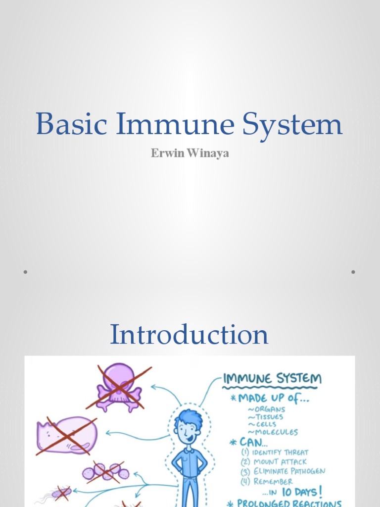Basic Immune System | PDF