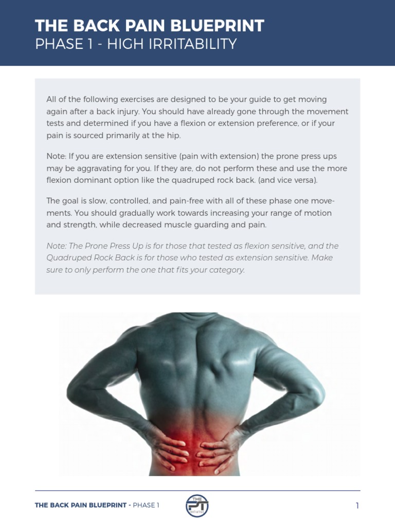 The Back Pain Blueprint: Phase 1 - High Irritability | PDF | Anatomical ...
