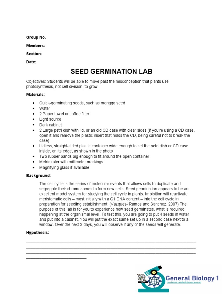 Seed Germination Lab | PDF | Experiment | Seed