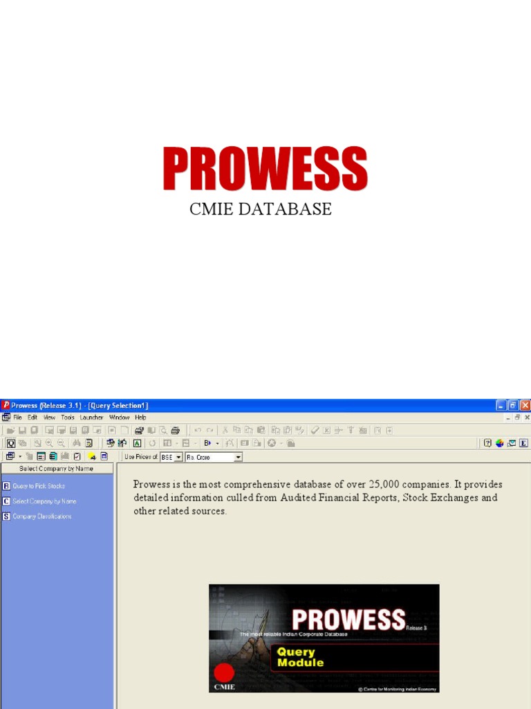 PROWESS User Manual | PDF | Button (Computing) | Data Management
