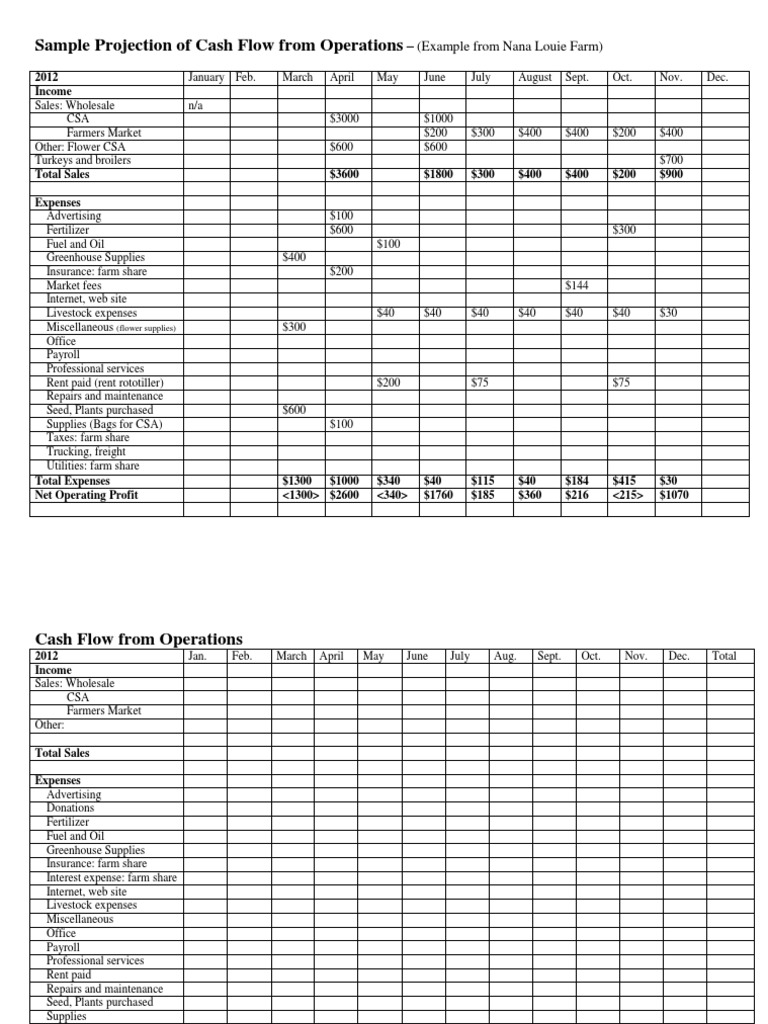 Sample Cash Flow Projection 1 | PDF | Expense | Farms